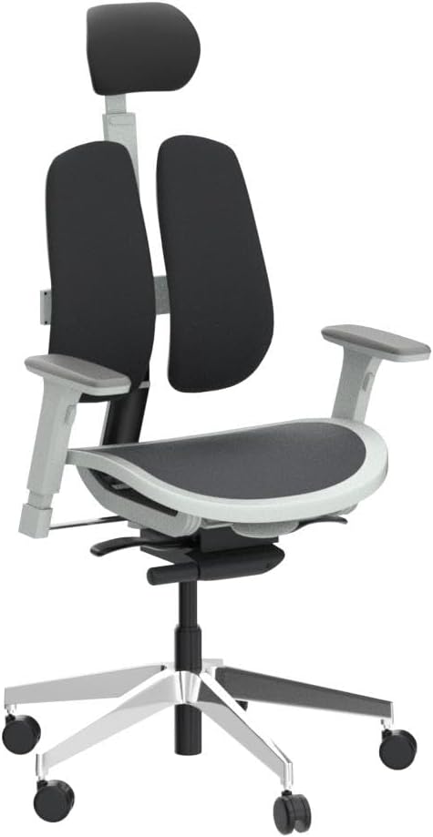Dual-backrests Alpha - Ergonomic Office Chair, Home Office Desk Chairs ...